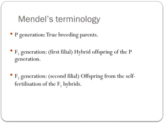 Mendel's Law of Inheritance Power Point Presentation for Senior ...