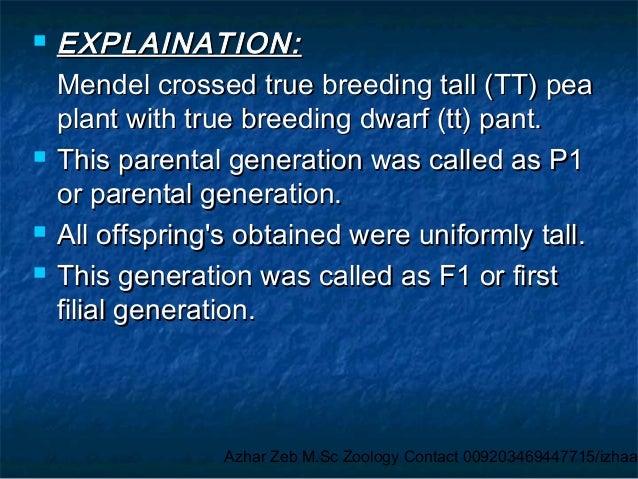 True Breeding Definition