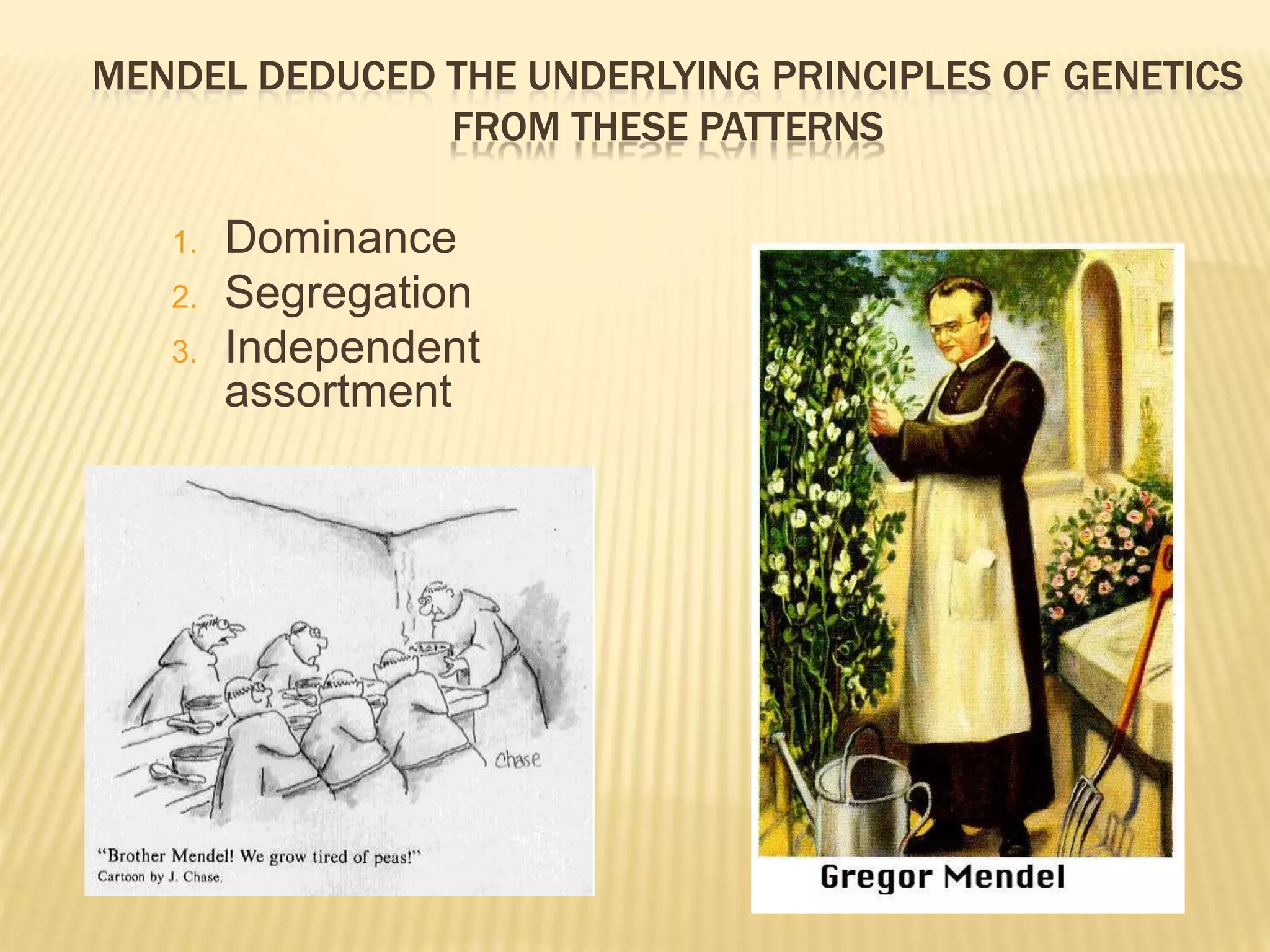 Mendels Laws of Inheritance | PPTX