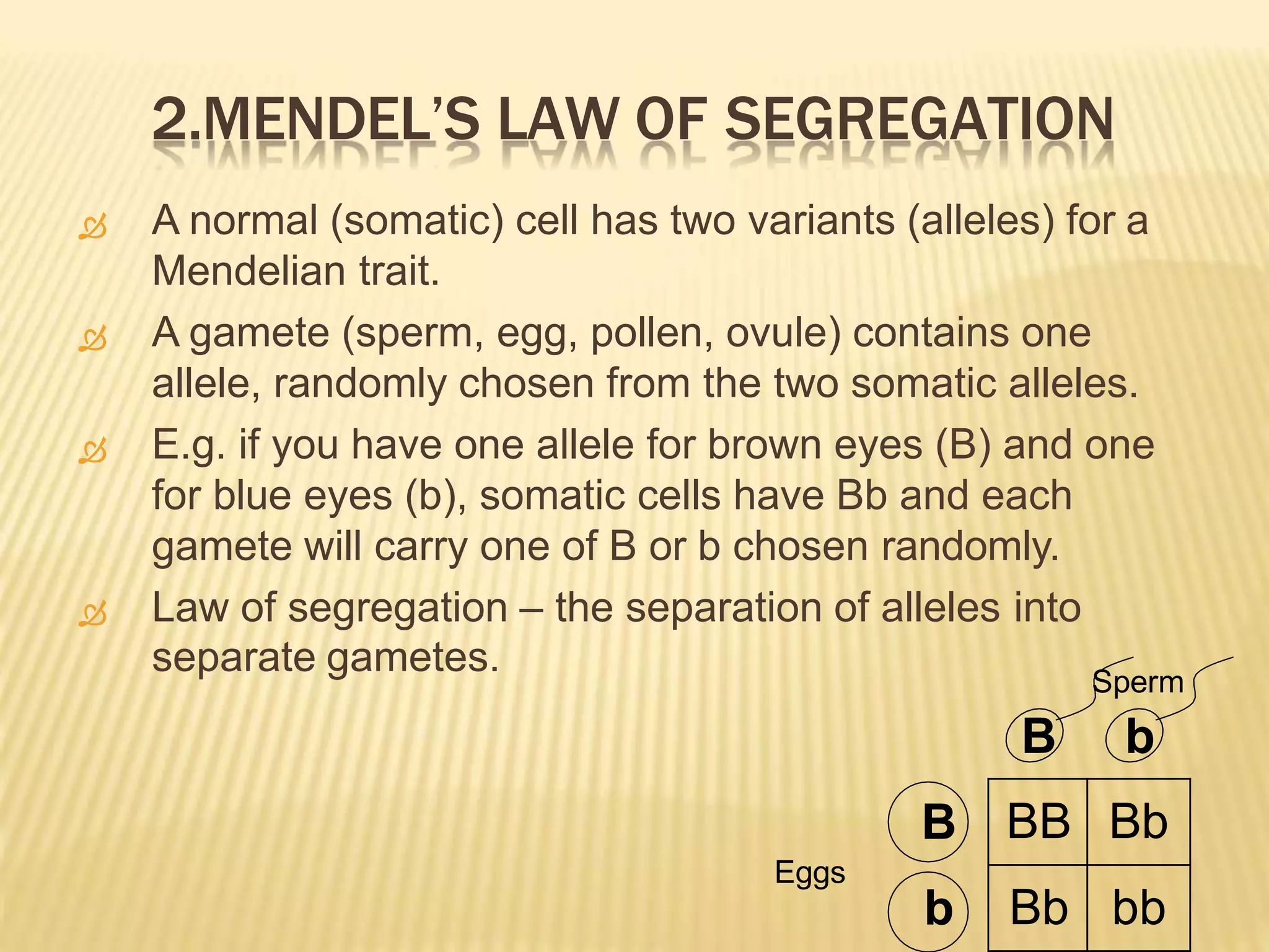 Mendels Laws of Inheritance | PPTX