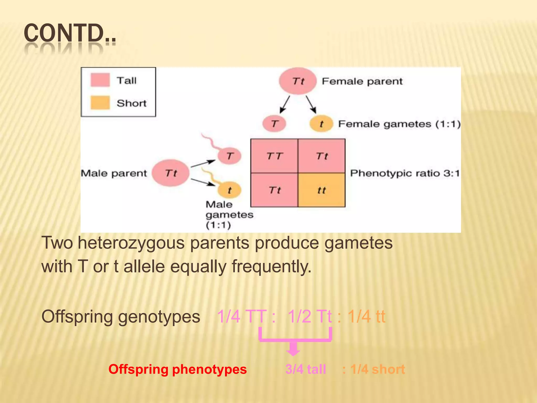Mendels Laws of Inheritance | PPTX