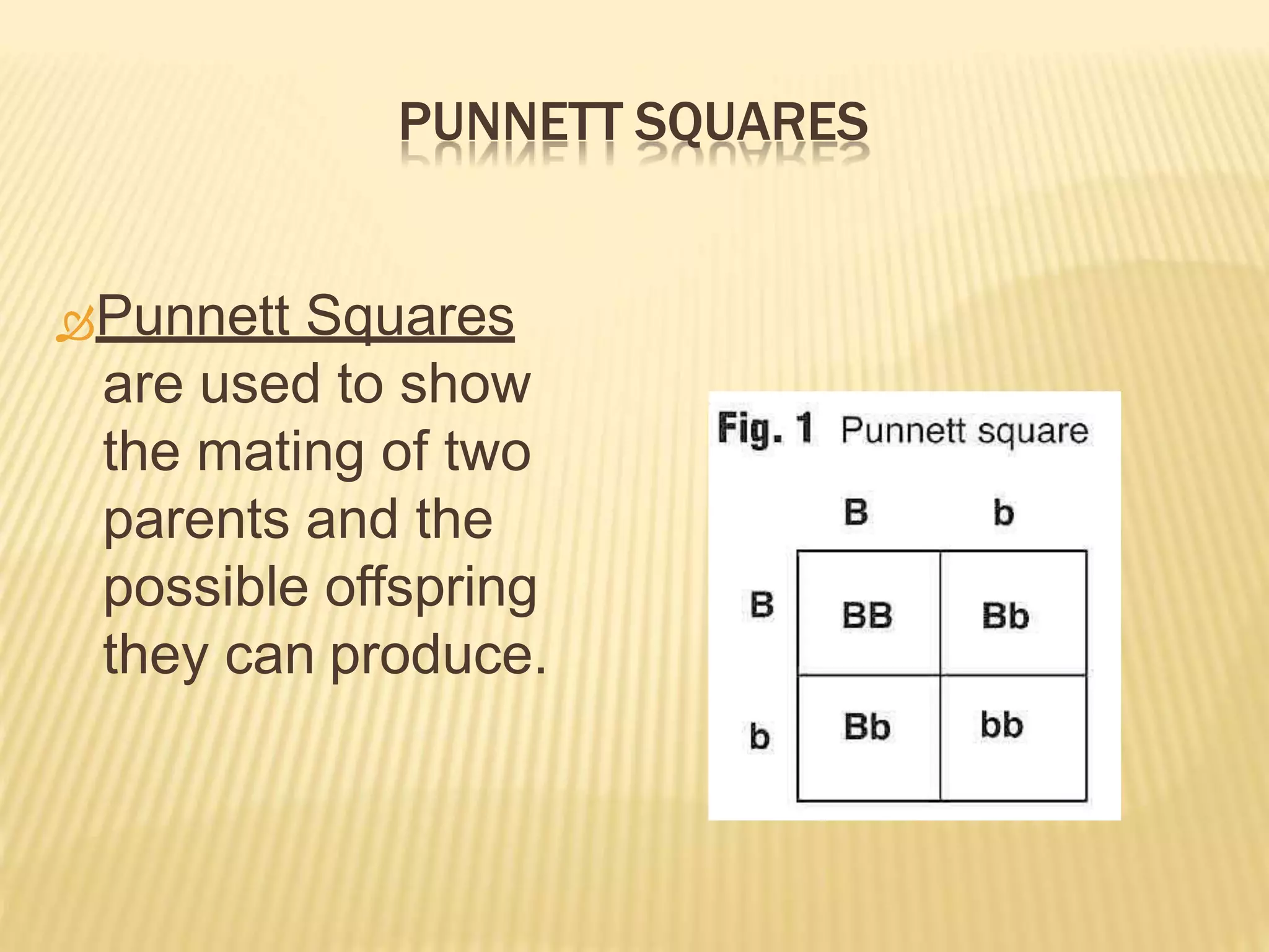 Mendels Laws of Inheritance | PPTX