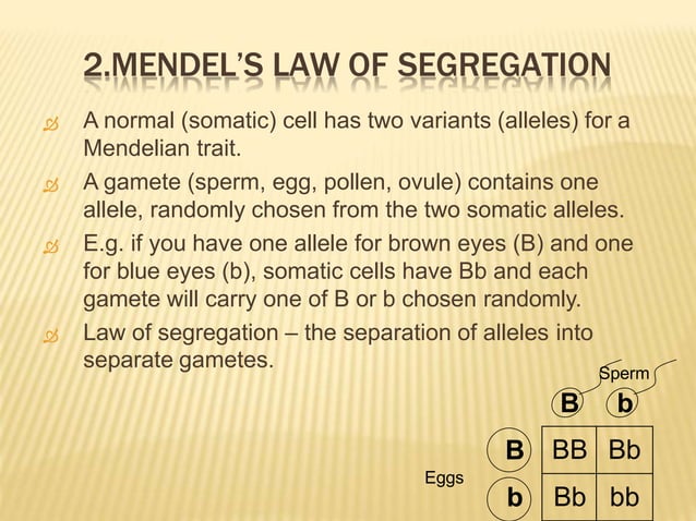Mendels Laws of Inheritance | PPTX | Gardening | Home & Garden