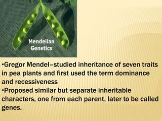 Mendels Laws of Inheritance | PPTX