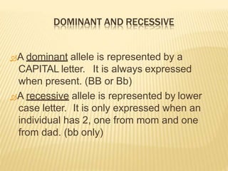 Mendels Laws of Inheritance | PPTX
