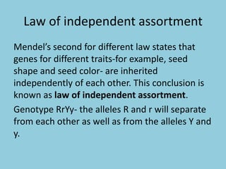 Mendel's laws of heredity | PPTX