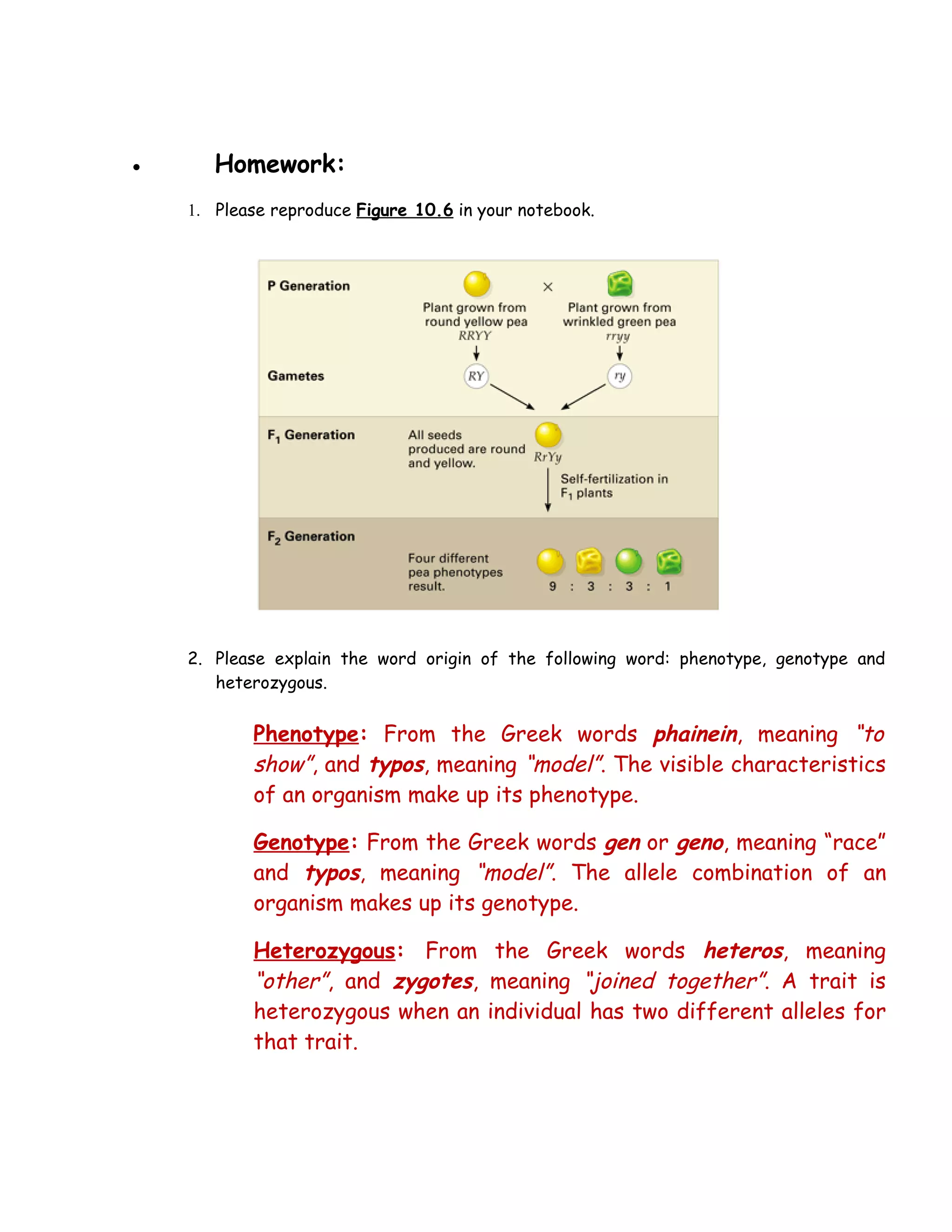 Mendel's laws of heredity part 3 (pp.258-259)-answer key | PDF