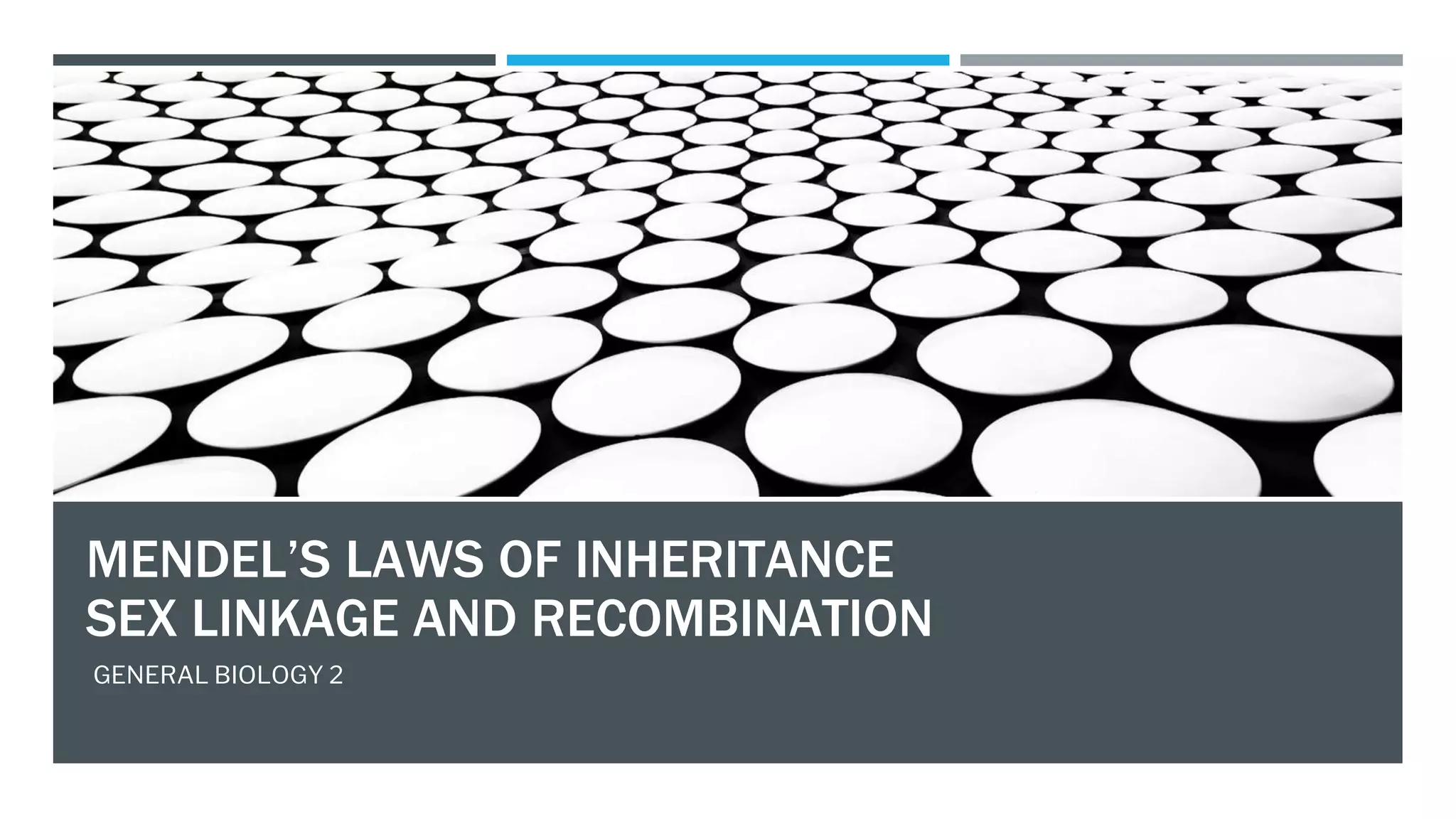 MENDEL’S LAWS OF INHERITANCE.pptx
