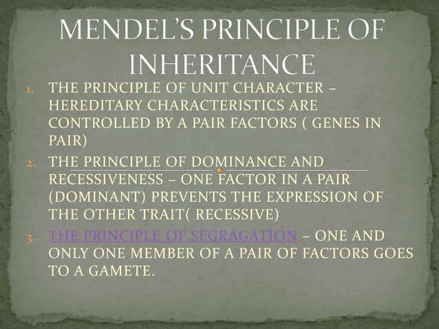 Mendel's principle of inheritance | PPTX | Chemistry | Science