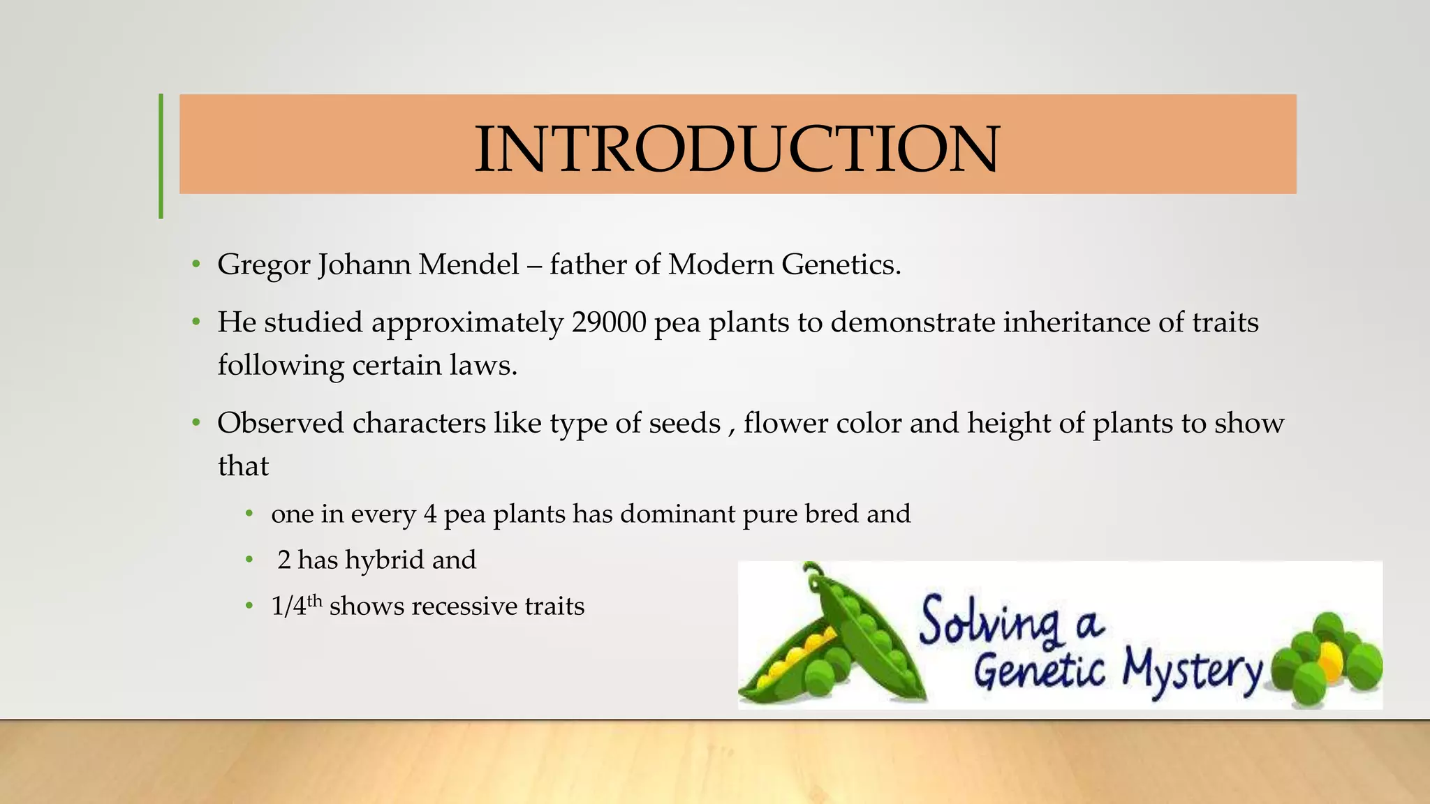 Mendels theory | PPT