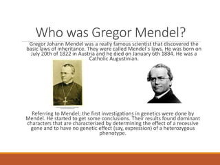 Mendel´s third law; Law of Independent Assortment | PPTX