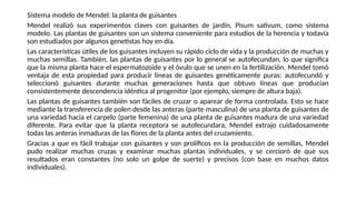 MENDEL Y SUS GUISANTES EXPERIMENTO Y DEMOSTRACIÓN | PPTX