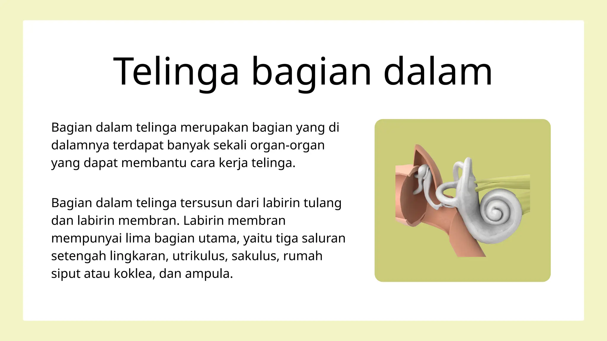 Mendengar Karena Bunyi Presentasi Pendidikan Hijau Ilustratif.pptx