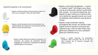 Mendimi kritik dhe zgjidhja e problemit.pptx