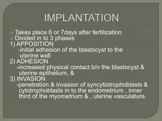 Menestrual cycle, fertilization & implantation | PPTX
