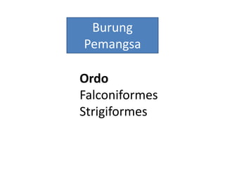 Mengapa burung ada dimana – mana | PPTX