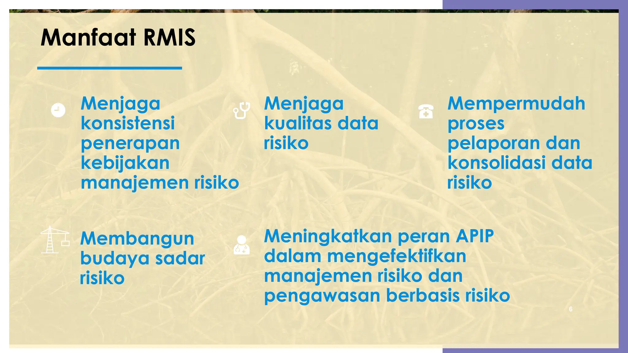 Mengawal Implementasi MRPN dengan RMIS.pdf