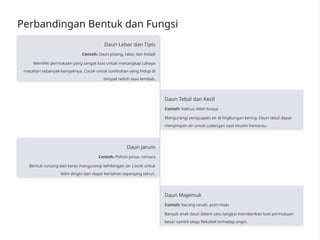 Mengenal Bagian Bagian Tumbuhan dan Fungsinya.pptx