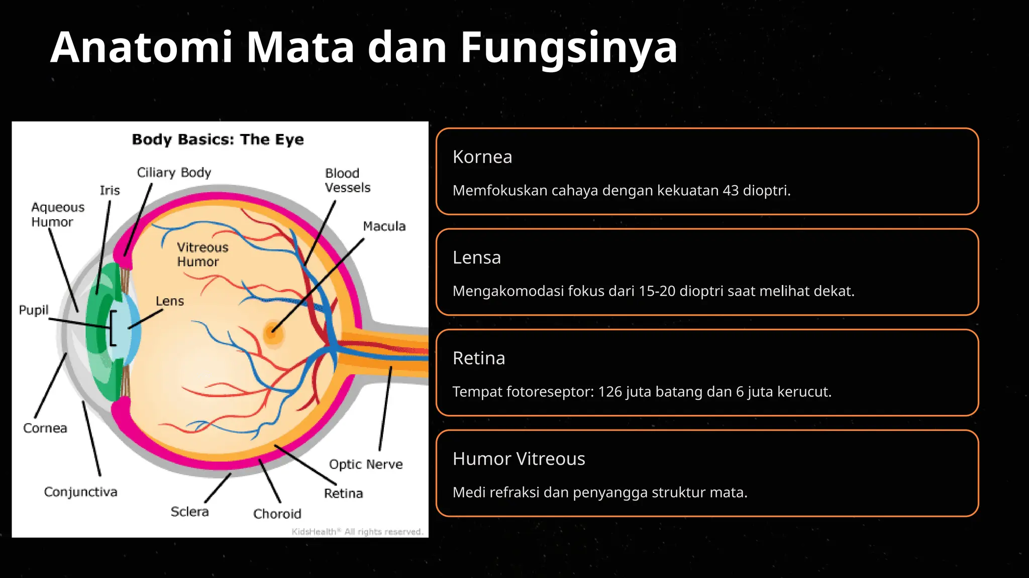 Mengenal-Berbagai-Gangguan-Mata-Perspektif-Alat-Optik.pptx