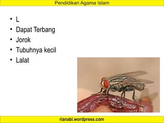 mengenal-binatang halal dan haram dalam hukum islam | PPTX