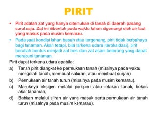 Mengenal pirit | PPTX