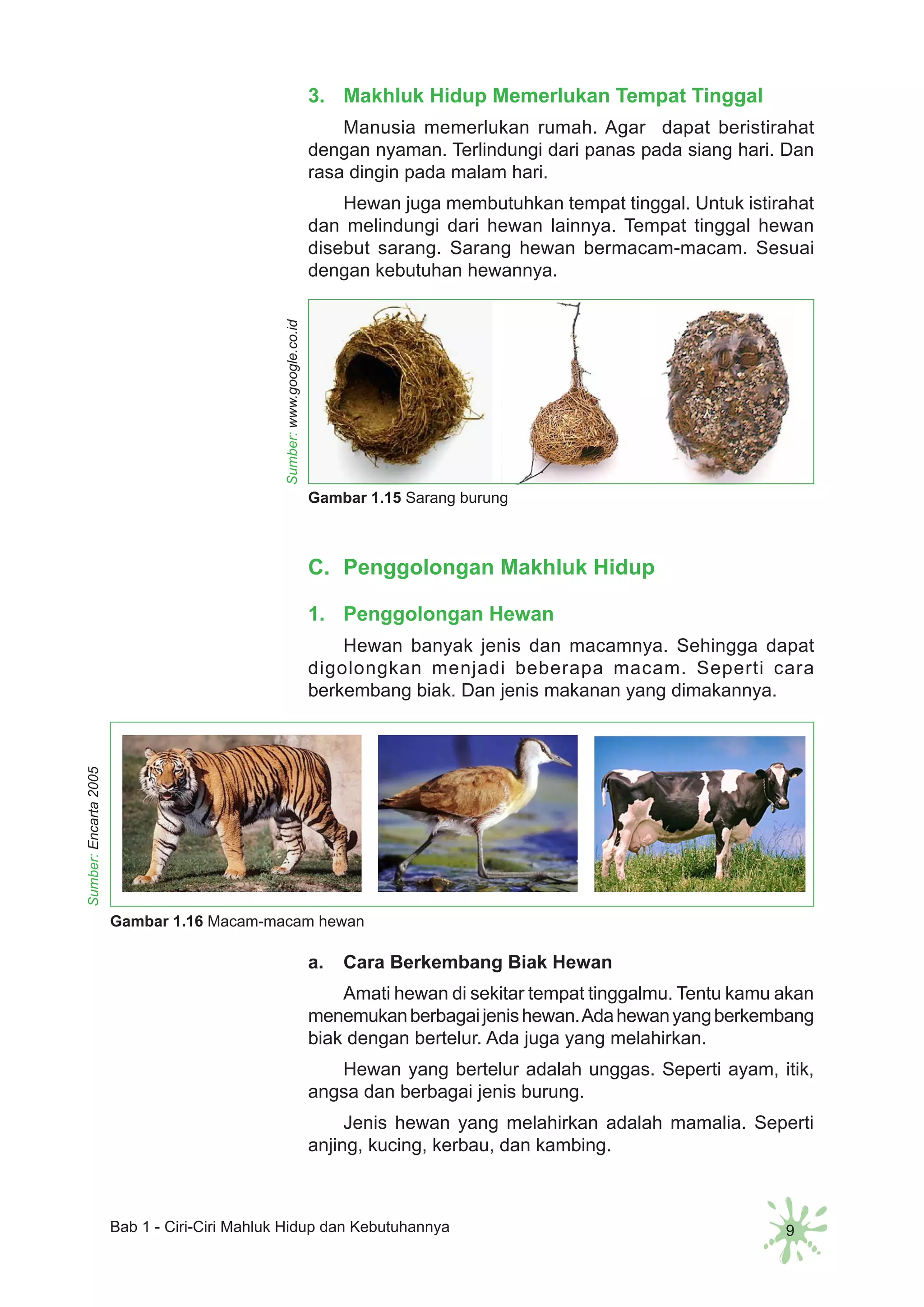 Mengenal alam, ipa kelas 3 - ahmad zulfikar zein | PDF