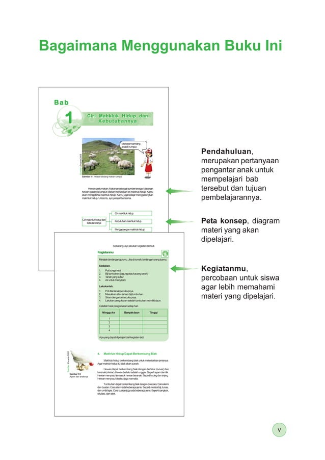 Mengenal alam, ipa kelas 3 - ahmad zulfikar zein | PDF