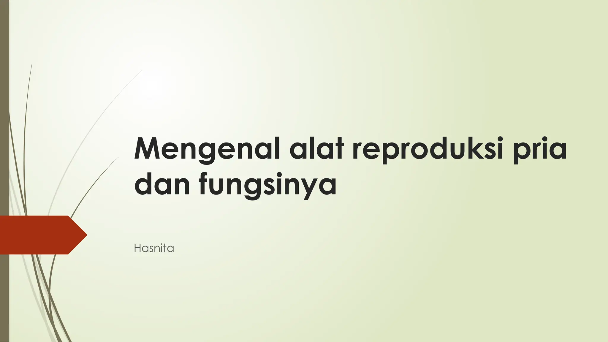 Mengenal alat reproduksi pria dan fungsinya.pptx