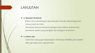 Mengenal alat reproduksi pria dan fungsinya.pptx