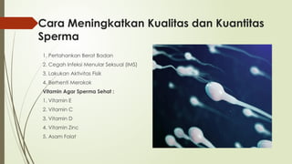 Mengenal alat reproduksi pria dan fungsinya.pptx