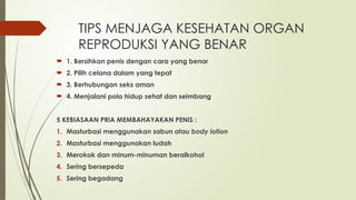 Mengenal alat reproduksi pria dan fungsinya.pptx