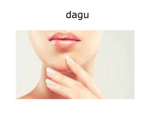 Mengenal anggota tubuh | PDF