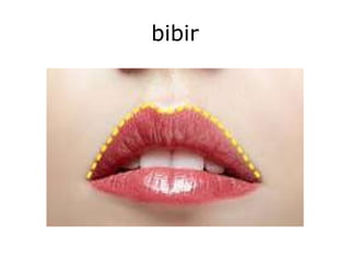 Mengenal anggota tubuh | PDF