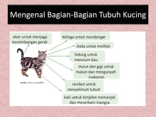 mengenal bagian tubuh hewan.pptx