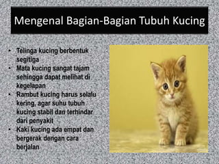 mengenal bagian tubuh hewan.pptx