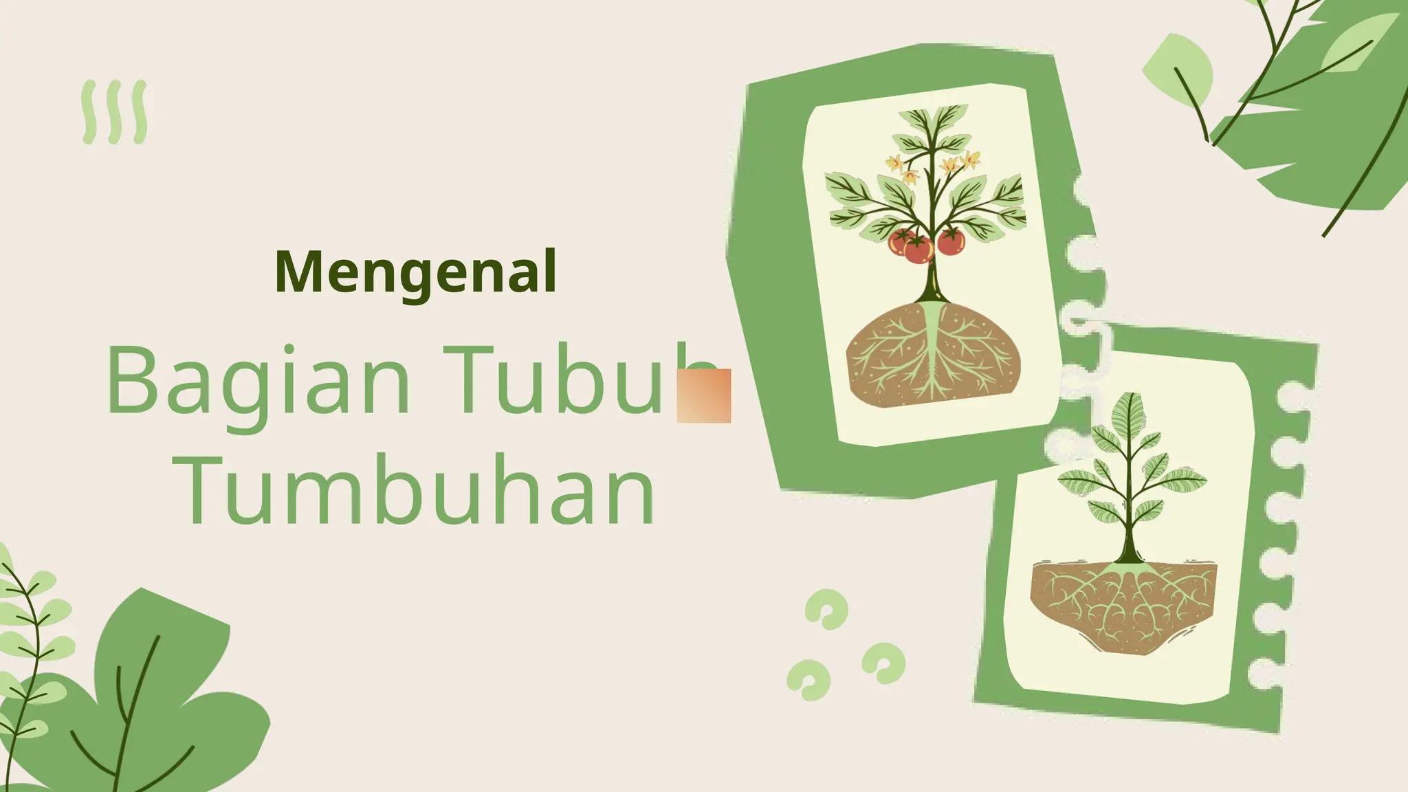 Mengenal Bagian Tubuh Tumbuhan dan Fungsinya .pptx