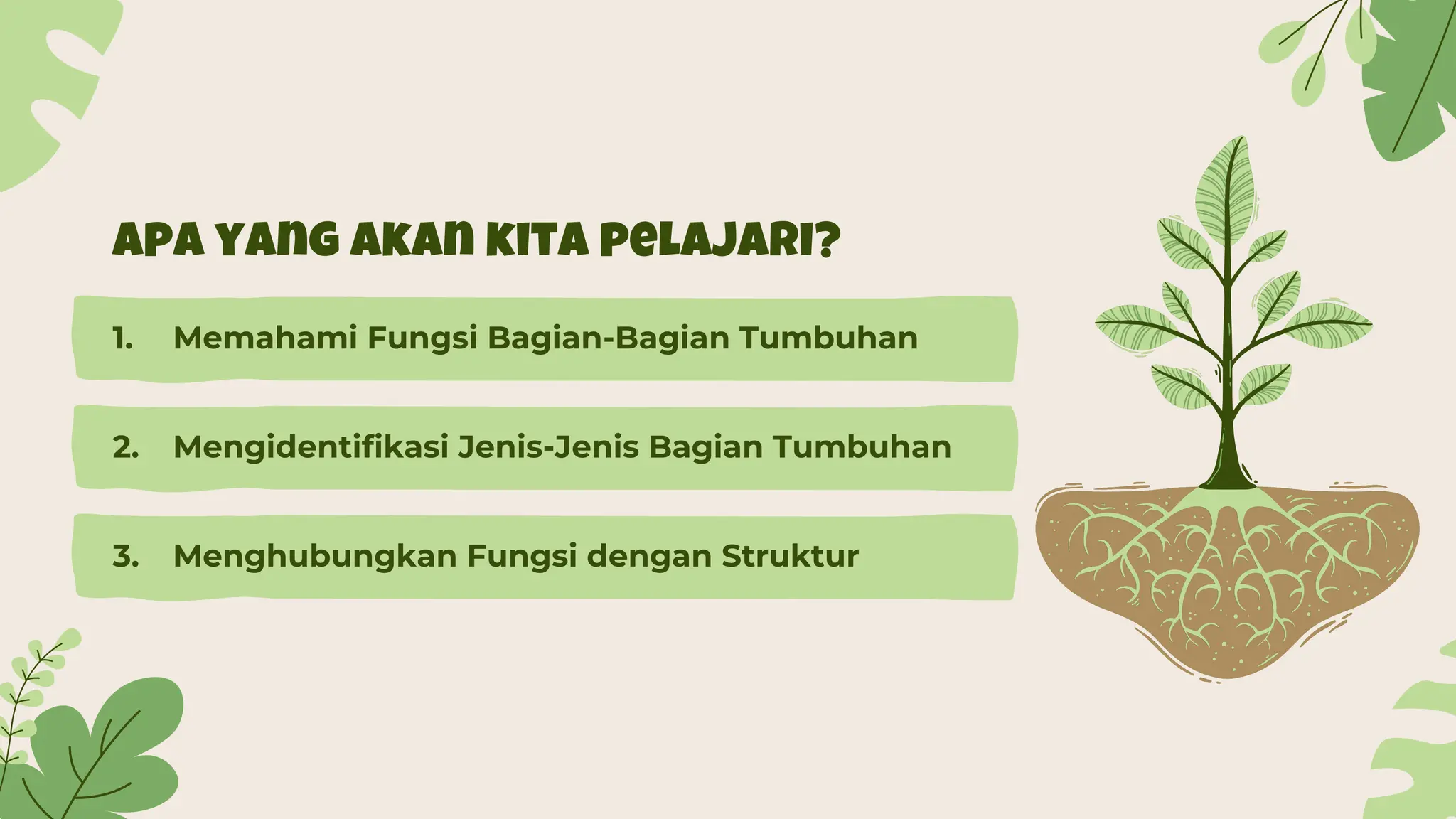 Mengenal Bagian Tubuh Tumbuhan Presentasi Hijau dan Krem Ilustrasi.pdf