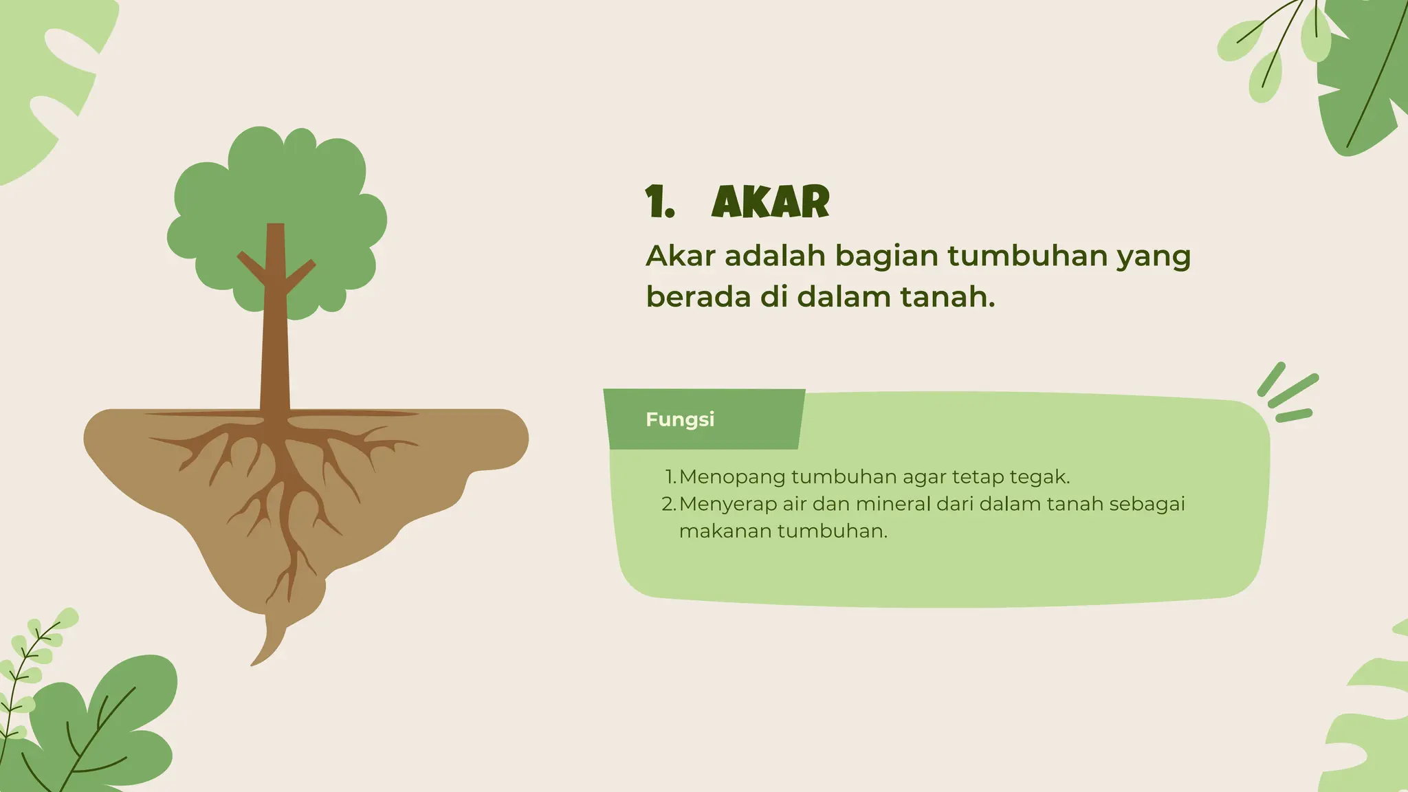 Mengenal Bagian Tubuh Tumbuhan Presentasi Hijau dan Krem Ilustrasi.pdf