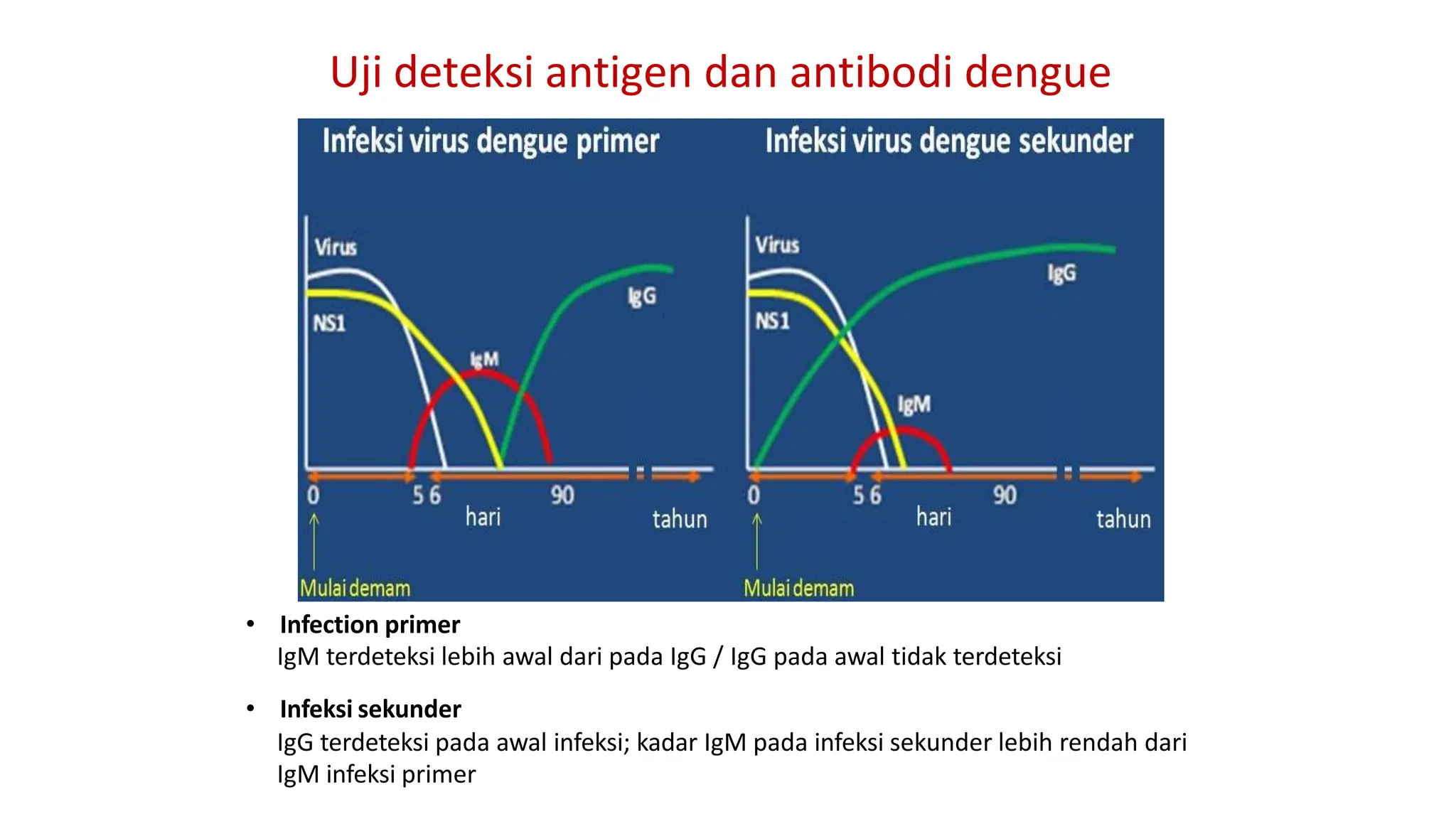 Mengenal_diagnosis_dan_tata_laksana_dengue_handout_Dr_Mulya_Rahma.pptx
