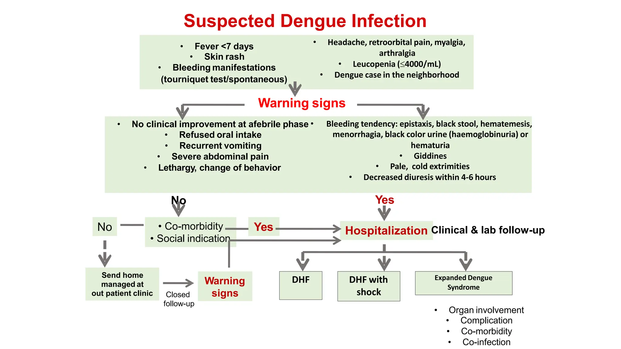 Mengenal_diagnosis_dan_tata_laksana_dengue_handout_Dr_Mulya_Rahma.pptx