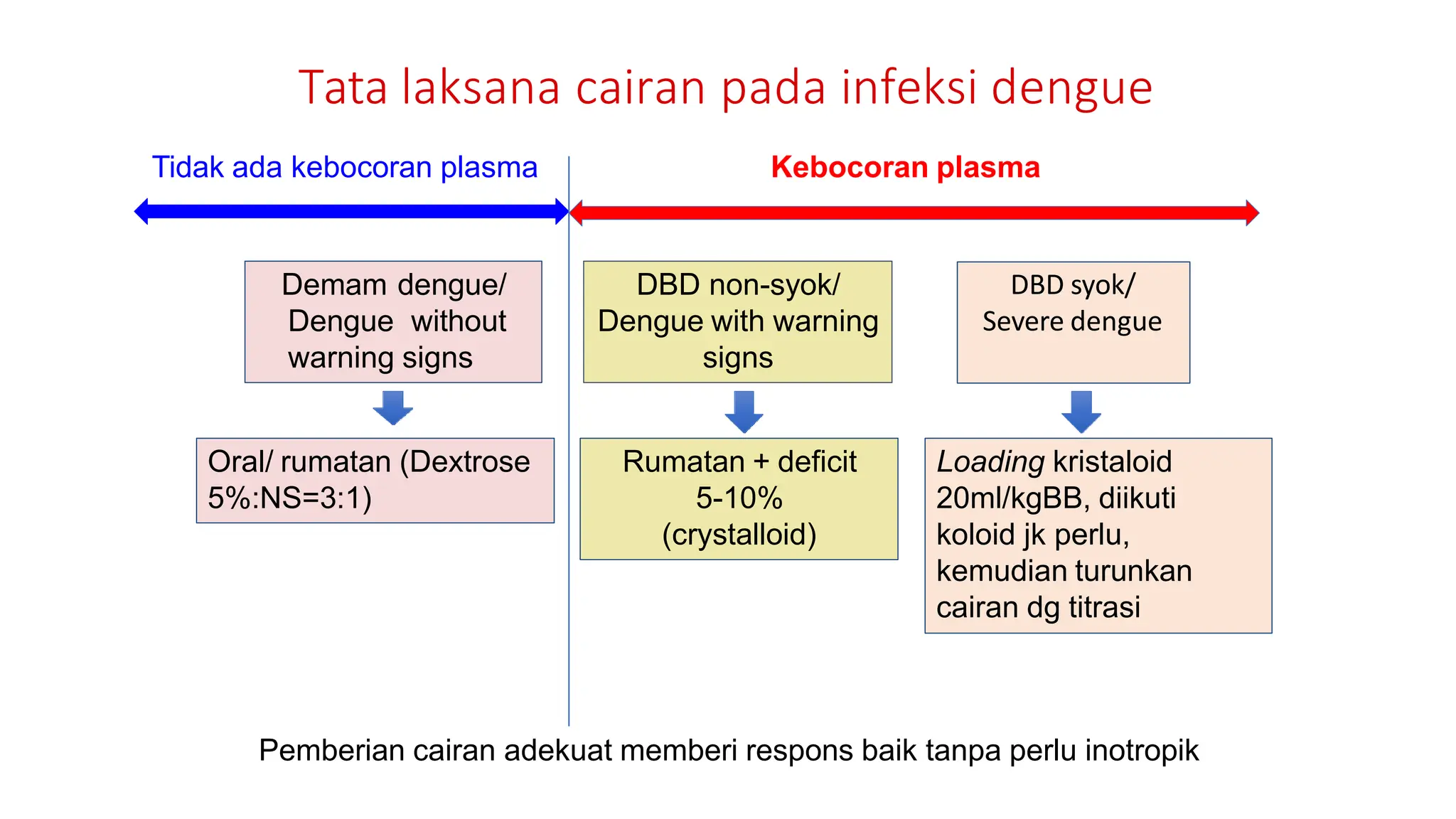 Mengenal_diagnosis_dan_tata_laksana_dengue_handout_Dr_Mulya_Rahma.pptx