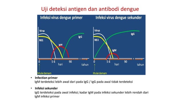 Mengenal_diagnosis_dan_tata_laksana_dengue_handout_Dr_Mulya_Rahma.pptx
