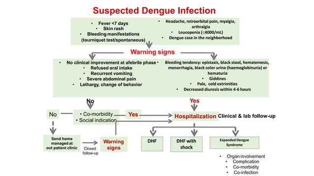Mengenal_diagnosis_dan_tata_laksana_dengue_handout_Dr_Mulya_Rahma.pptx