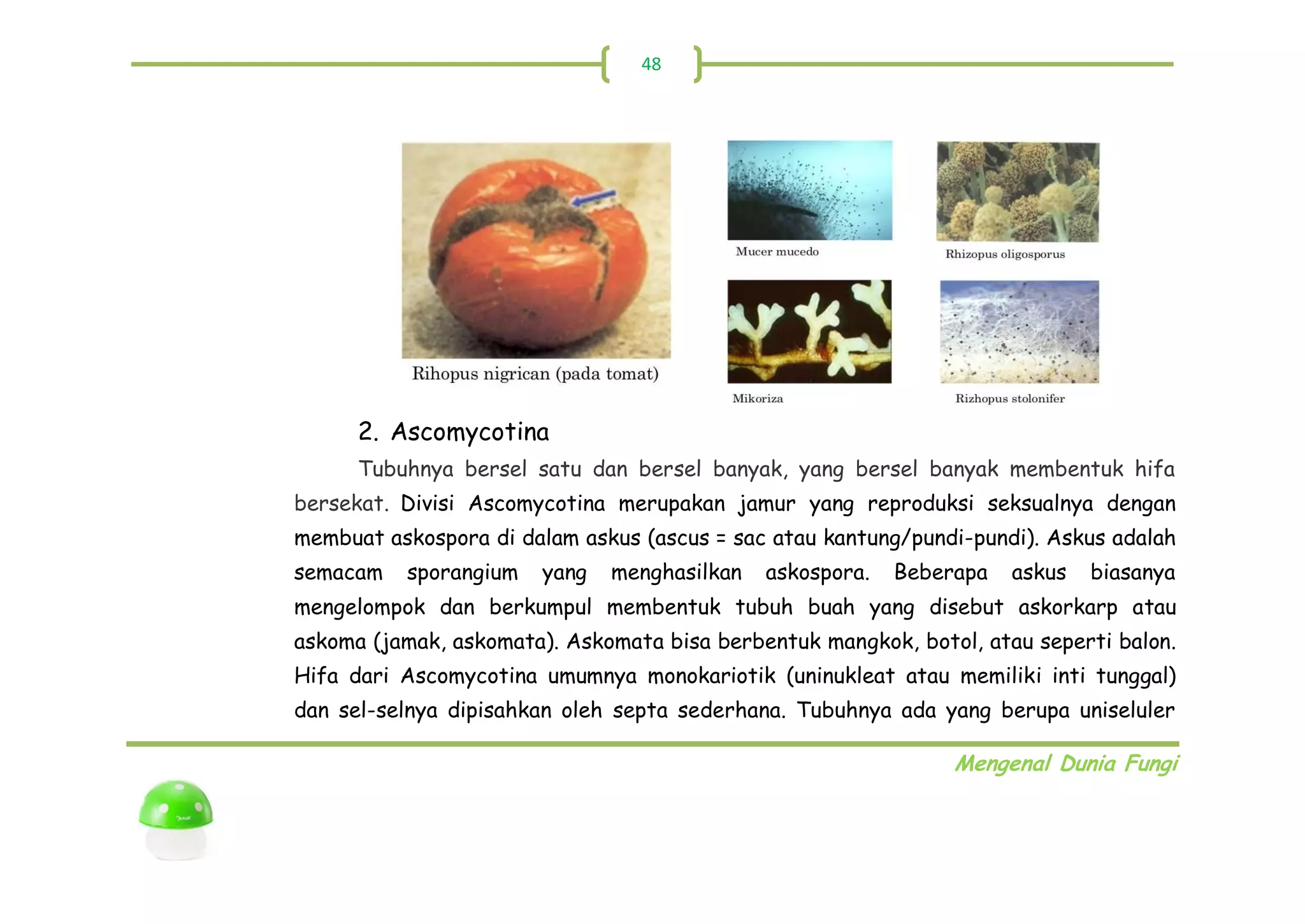 Mengenal dunia fungi | PDF