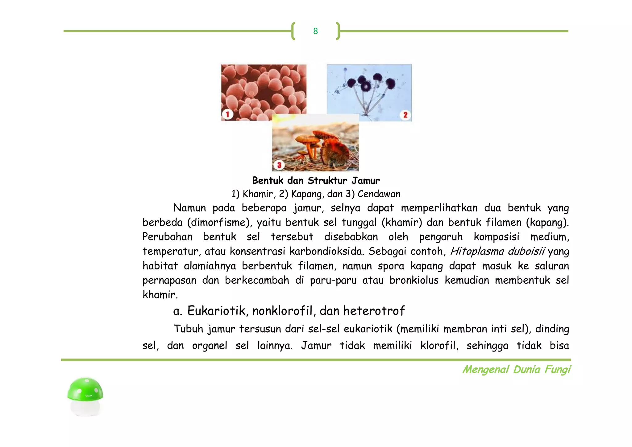 Mengenal dunia fungi | PDF