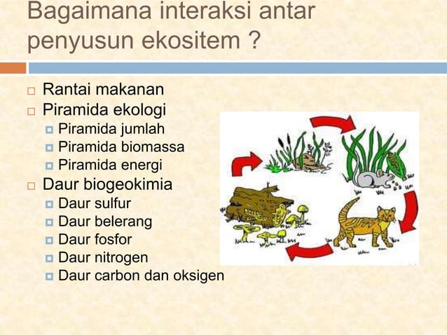 Mengenal ekosistem | PPTX