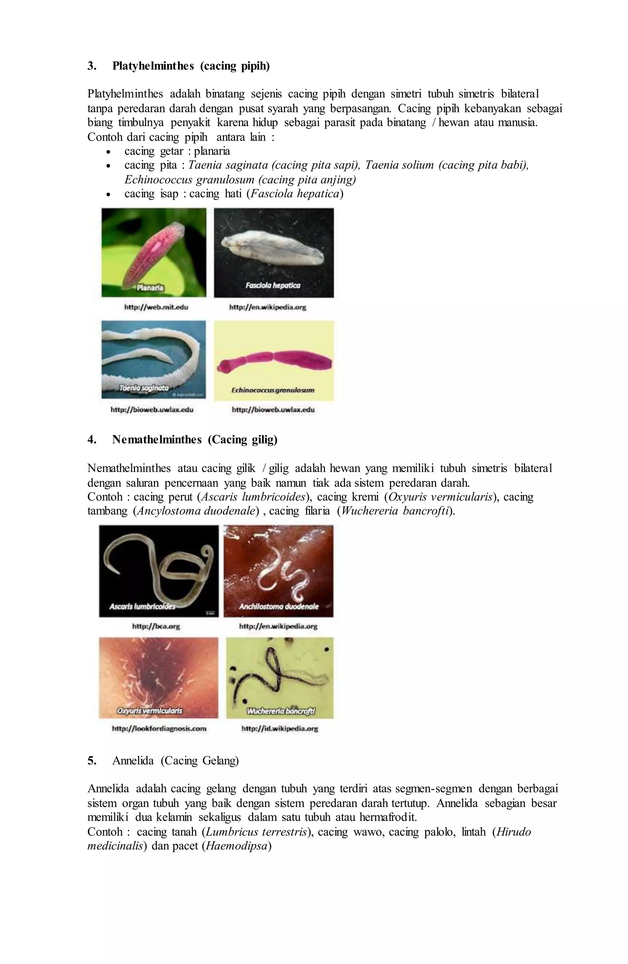 Mengenal hewan bertulang belakang dan tak bertulang belakang | DOCX