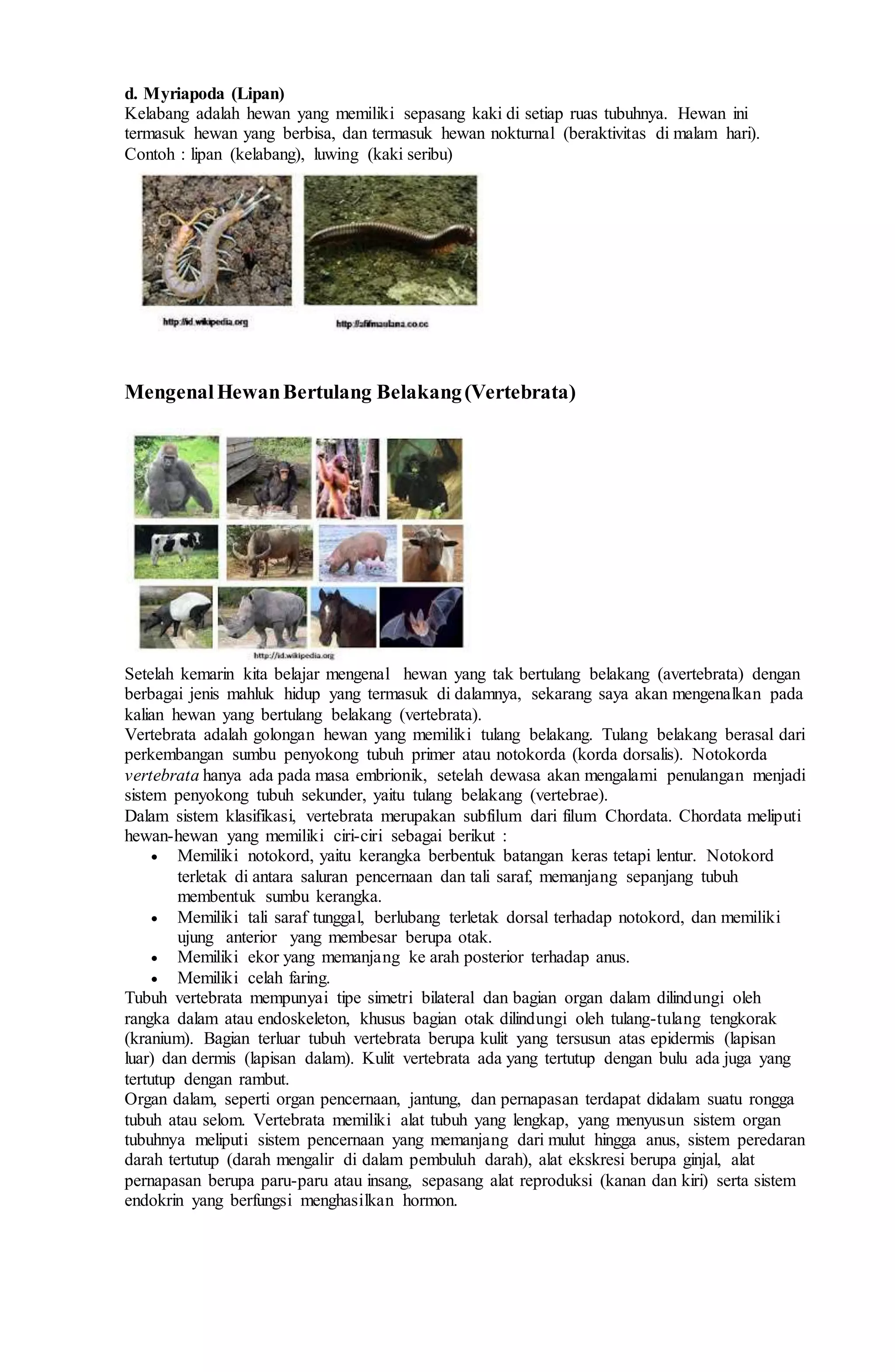 Mengenal hewan bertulang belakang dan tak bertulang belakang | DOCX