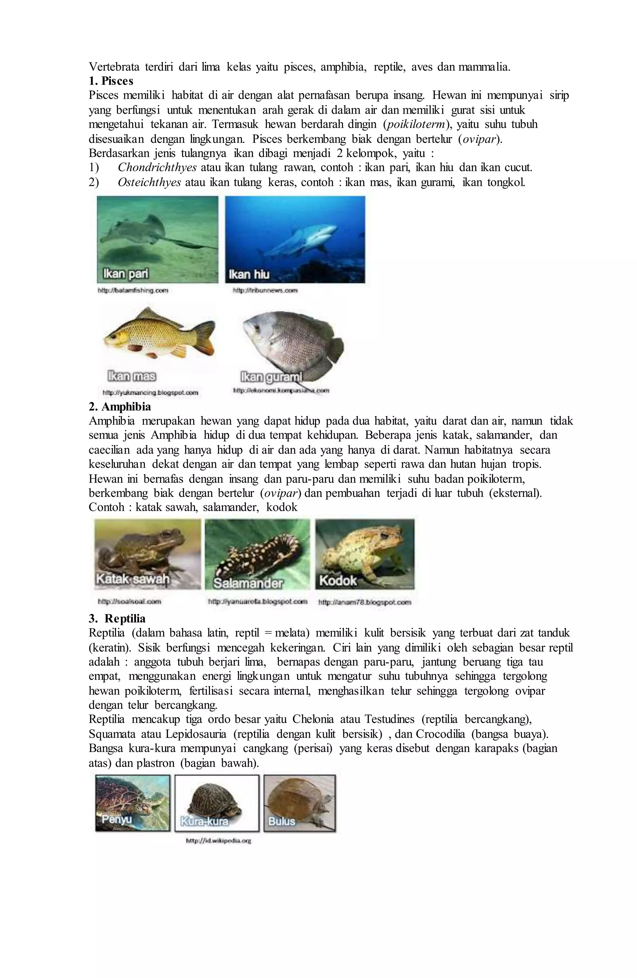 Mengenal hewan bertulang belakang dan tak bertulang belakang | DOCX