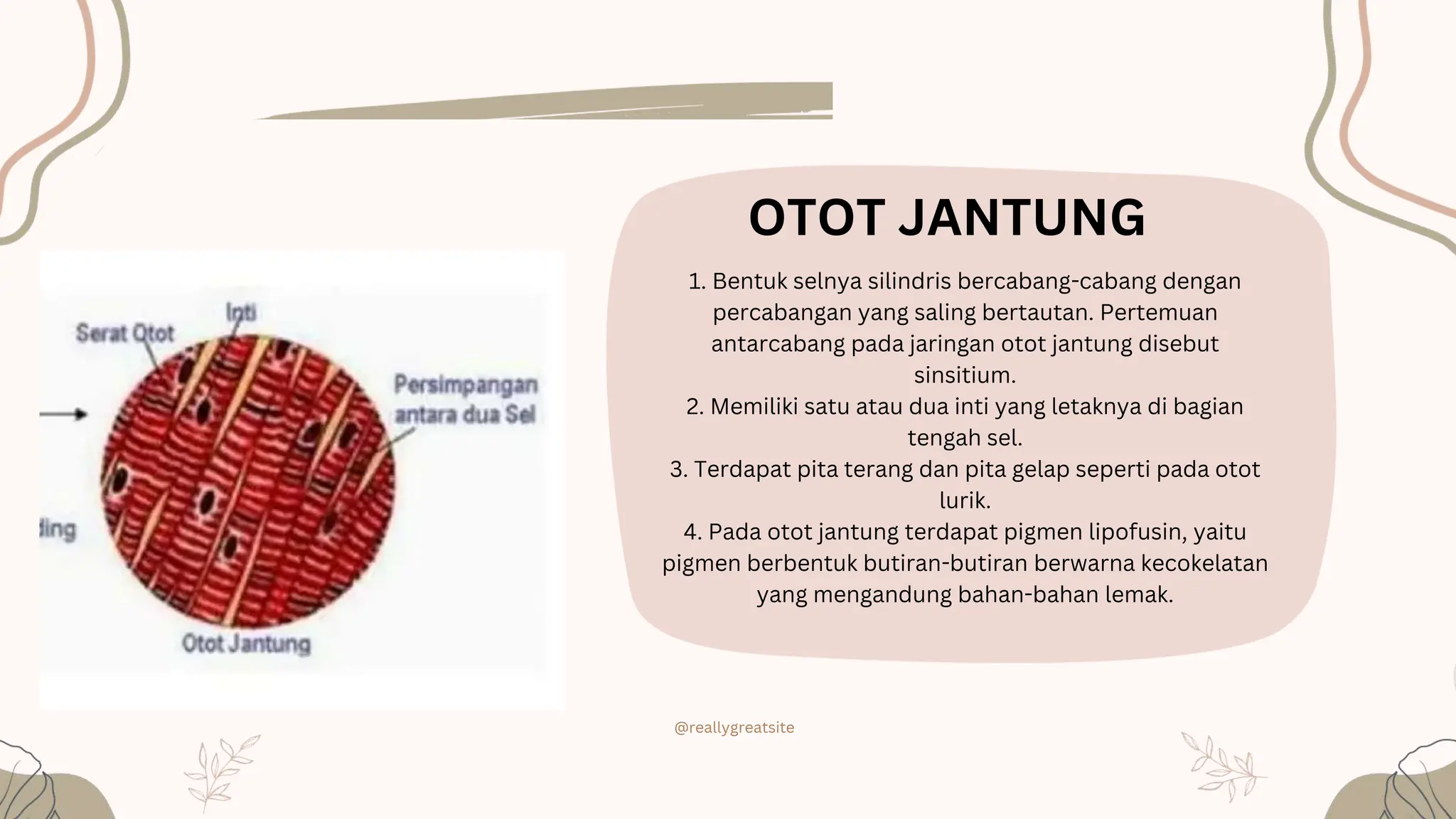 Mengenali Jaringan Otot Dan Saraf.pptx.free